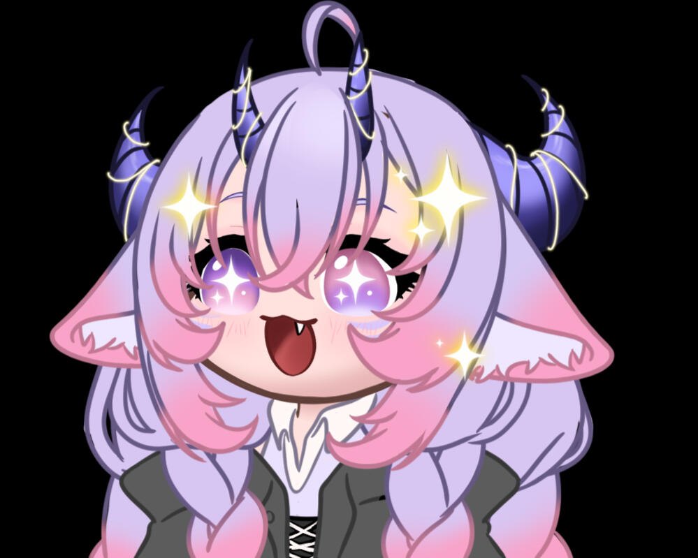 Schwin - Informações